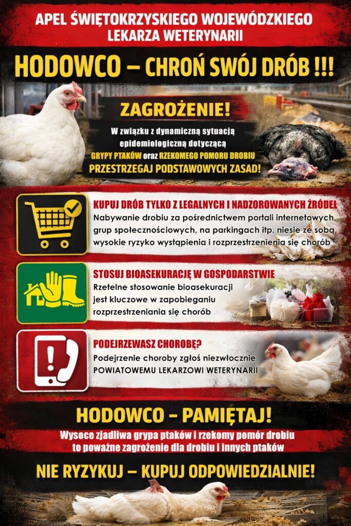 Hodowco – chroń swój drób! – Gmina Nowiny